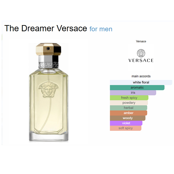 VERSACE THE DREAMER PERFUME FOR MEN EDT 100ML Price In Pakistan – The ...