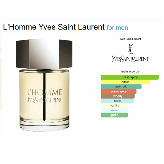 YSL L'HOMME EDT 100ML IN PAKISTAN – The Vault Pk